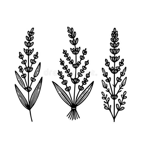 Flower Cluster Drawing Easy Flowers Coloring Pages February Birth Coloring Pages For Adults