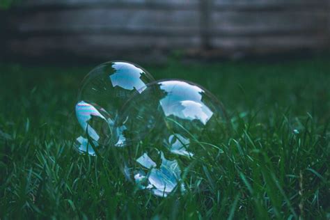 Bubbles Green Grass Free Photos On