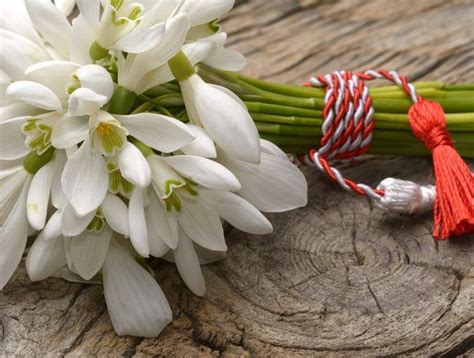 Mărțișoare Din Mărgele Termoadezive Cu Modele De Buburuze Trifoi