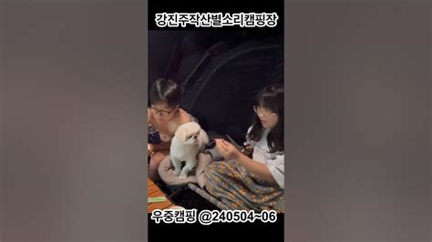 비오는 캠핑장 먹고 자고 또먹고우중캠핑 캠핑요리 캠핑먹거리 Youtube