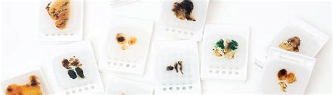 Unlocking The Potential Of Ffpe Samples In Spatial Transcriptomics