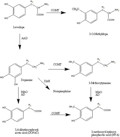 Role Of Integrative Pharmacokinetic And Pharmacodynamic Optimization