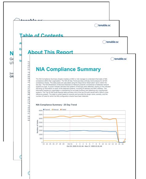 Nist Cybersecurity Framework Executive Summary Report Template
