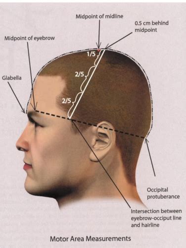 SCALP Flashcards Quizlet