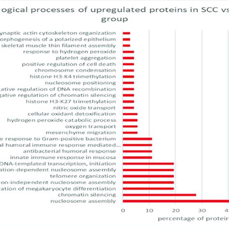 Classification Ofbiological Processes Of Upregulated Proteins In The Download Scientific