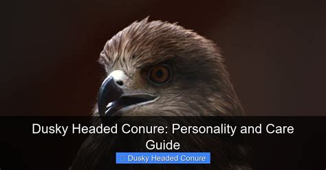 Dusky Headed Conure Personality And Care Guide