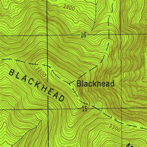 Freehold Ny 1945 24000 Scale Map By United States Geological Survey