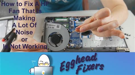 Why Is My Laptop Fan Making A Buzzing Noise At Gregory Butcher Blog