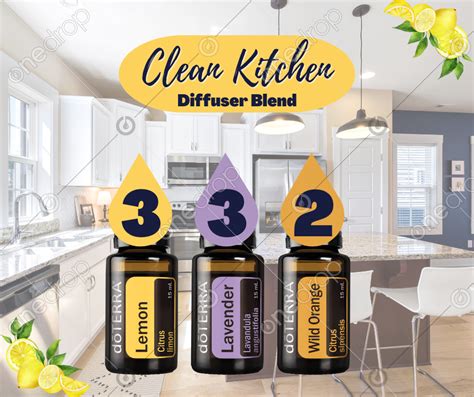 Diffuser Blend Clean Kitchen By Christy St Clair
