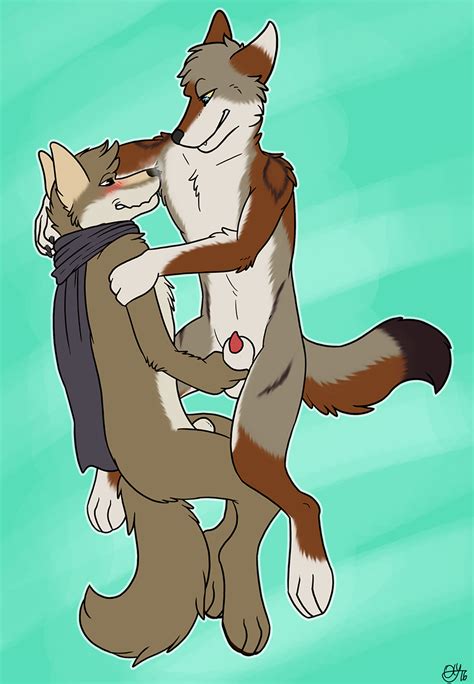Rule 34 Animal Genitalia Bochi Canine Coyote Male Mammal Musk Nye