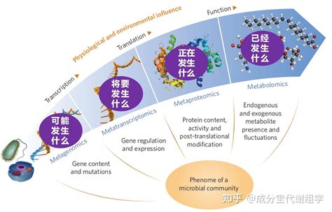 代谢组学入门全指南｜五分钟带你入门代谢组学 知乎