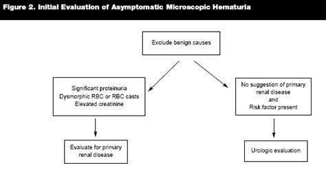 Hematuria Implications And Management 2009 03 01