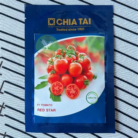 Red Star F1 Tomato Seeds Chia Tai Hybrid Kamatis Vegetable Seeds 20g