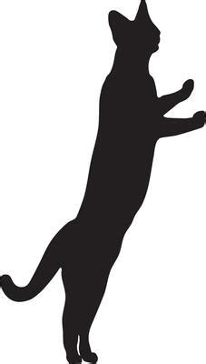 Hanging Cat Vector Art Icons And Graphics For Free Download