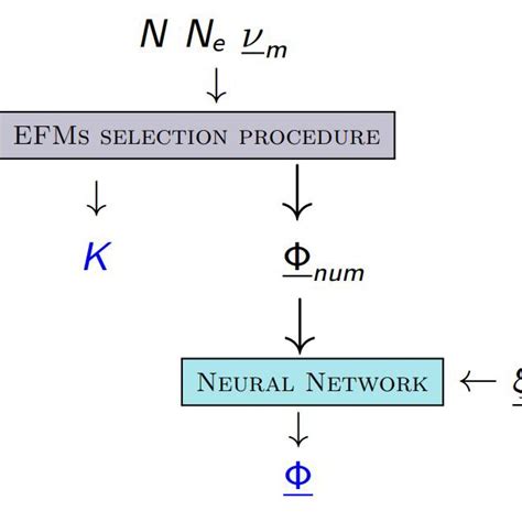 Hybrid Modeling Using An Elementary Flux Mode Reduction Procedure And