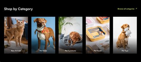 Animate Bounce Tailwind Css Class Animate Bounce Tailwind Css Class