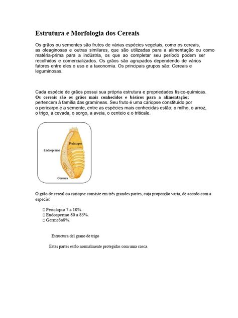 Estrutura Dos Grãos De Cereais Pdf Cereais Semente