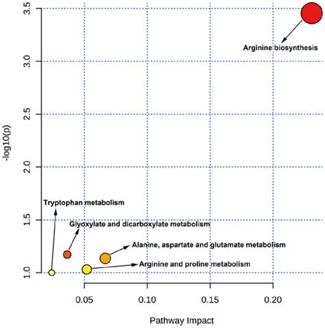 Metaboanalyst Analysis Showed The Targeted Metabolic Pathways By Va