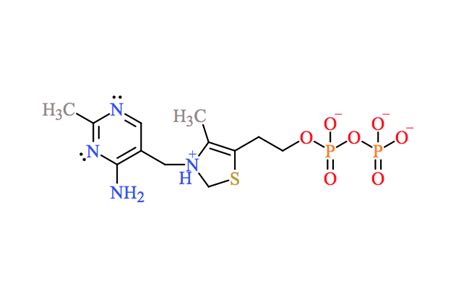 Solved Complete The Electron Dot Structure Of Thiamine