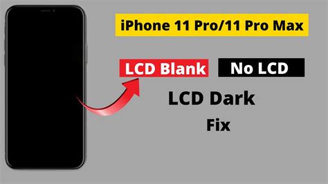 How To Fix Black Screen On Iphone From Water At Brodie Puddy Blog