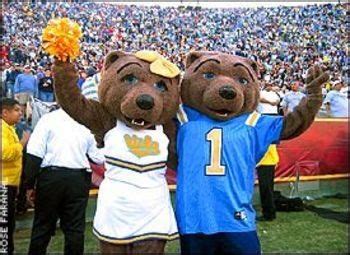 Two Brown Bears Standing Next To Each Other In Front Of A Crowd At A