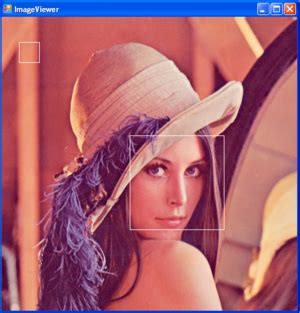 Face Detection In VB NET EMGU