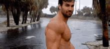 Gay Muscle  S Tenor