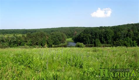 Гомільшанські Ліси національний природний парк опис фото карта