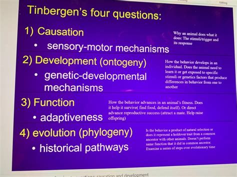 Solved Tinbergens Four Questions Assignment On A Visit To