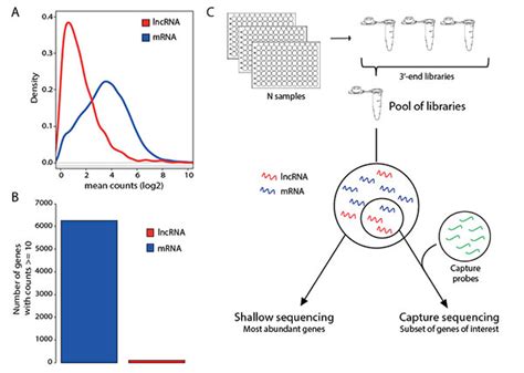 A 3 End Capture Sequencing Method For High Throughput Targeted Gene