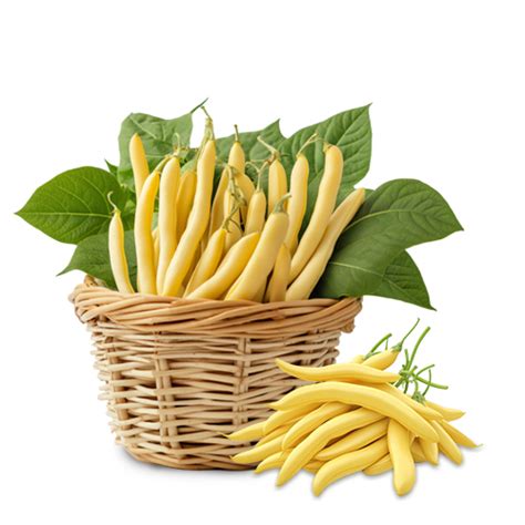 Yellow Beans Aditi Super Market