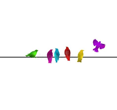 Colored Birds On A Wire Vector Illustration Stock Vector