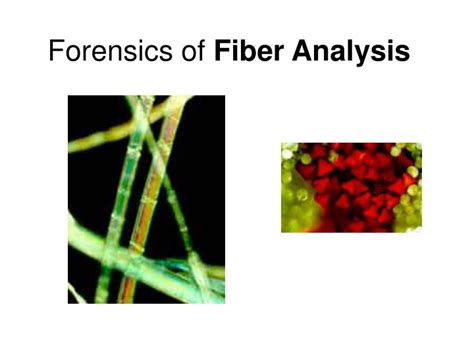 Ppt Forensics Of Fiber Analysis Powerpoint Presentation Free