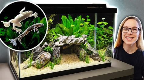 What Plants Are Safe For African Dwarf Frog Tanks Guide Vacuum