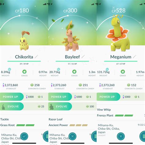 Shiny Chikorita