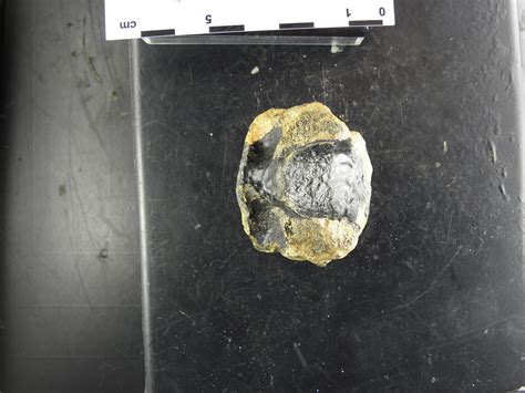 What Is This Isolated Bone Fragment