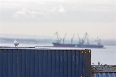 page 61 macro container images free download on freepik
