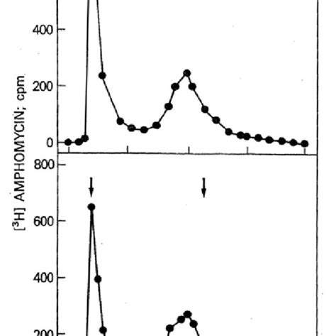 Interaction Between 3h Amphomycin And Download Scientific Diagram