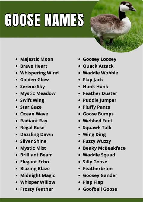 280 Cute Goose Names Ideas Ai Generator