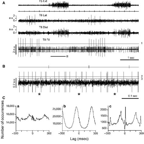 Distributions Of The Spike Amplitude Levels Used A Spike Amplitude