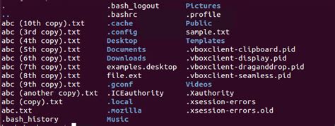 Linux File Management From The Terminal Vitux