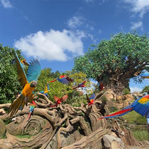 Disneys Winged Encounters The Kingdom Takes Flight Archives The