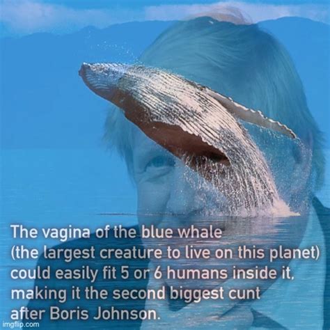 The More You Know Imgflip