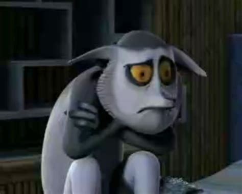 Julian Madagascar Memes Memes Madagascar Tv Tropes