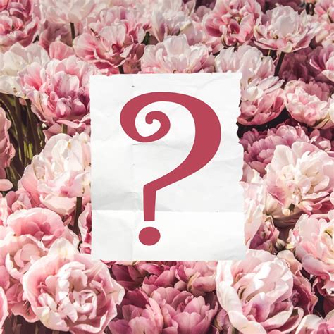 Spring On The Questions