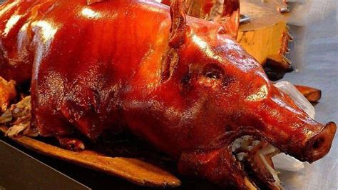 [100 ] Lechon Pictures