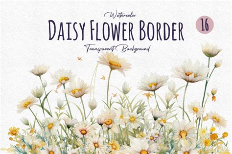 Watercolor Daisy Flower Border Clipart Graphic By Designbible · Creative Fabrica