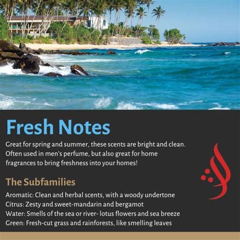 Giovanni Bacci Rose Diamond For Women 100ml Eau De Parfum Buy Best Price In Uae Dubai Abu