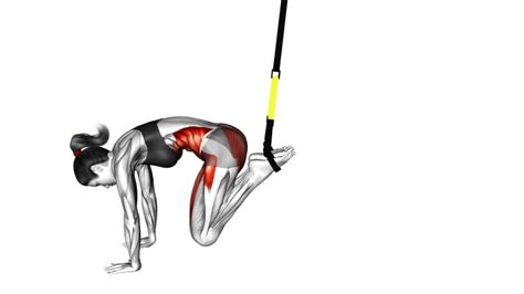 Master The Suspender Jack Knife Female Video Guide And Tips