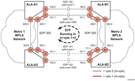Virtual Private Lan Service
